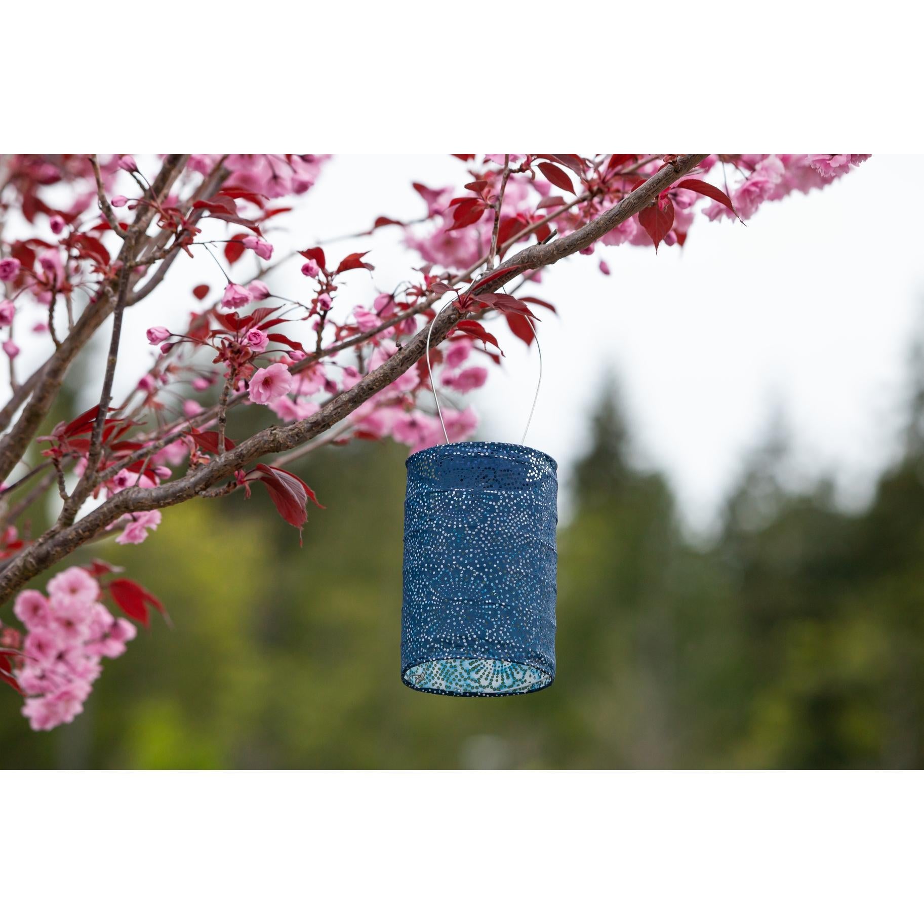 Lantern, Stella Cylinder Solar – Honey Locust Farms