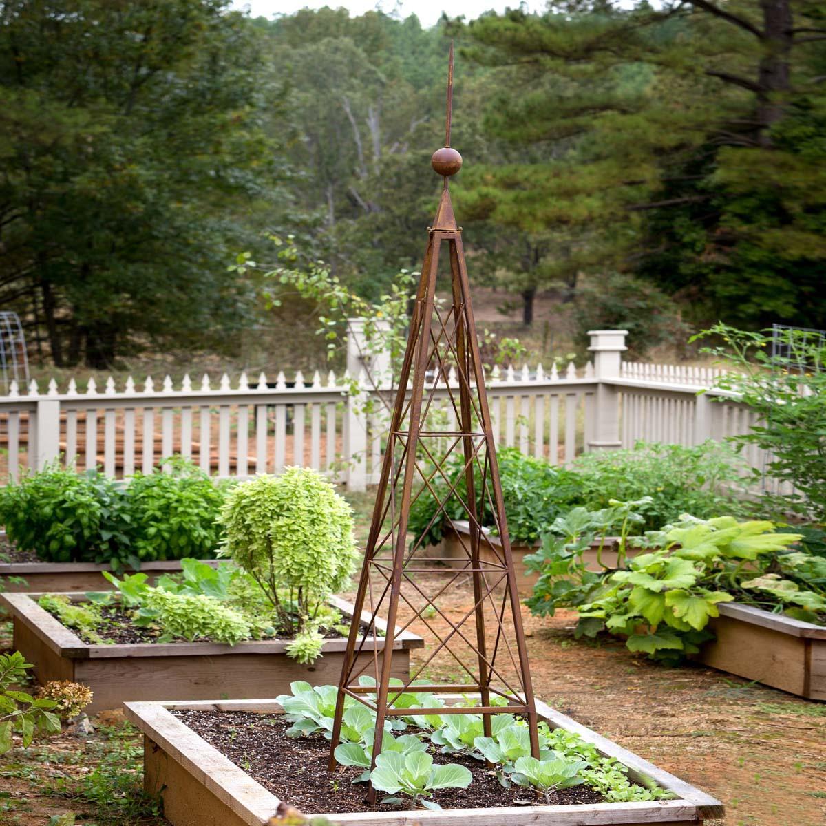 Metal Garden Trellis – Honey Locust Farms